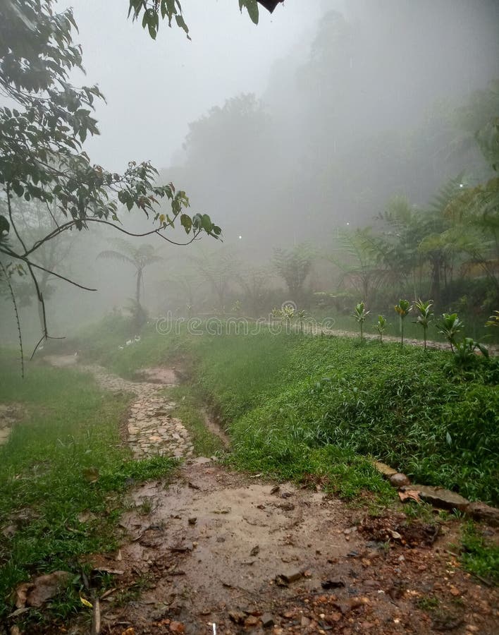 Valley Tepus Stock Photos - Free & Royalty-Free Stock Photos from ...