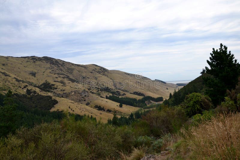 Valley with trees stock photo. Image of track, landscape - 108165554