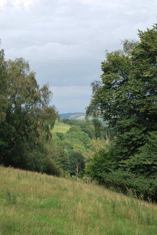 Valley Trees Grass Hills Views Stock Image - Image of hills, grass ...