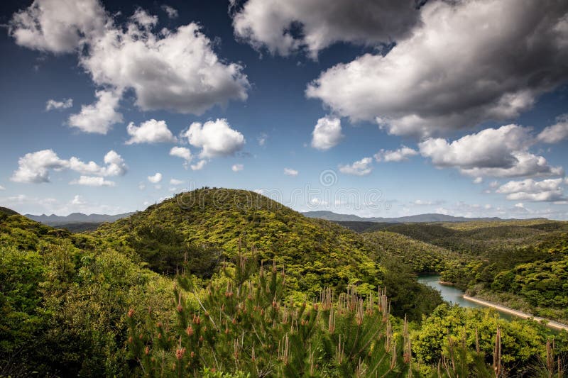 A Valley with Trees, Hills, and Water in the Distance Editorial Photo ...