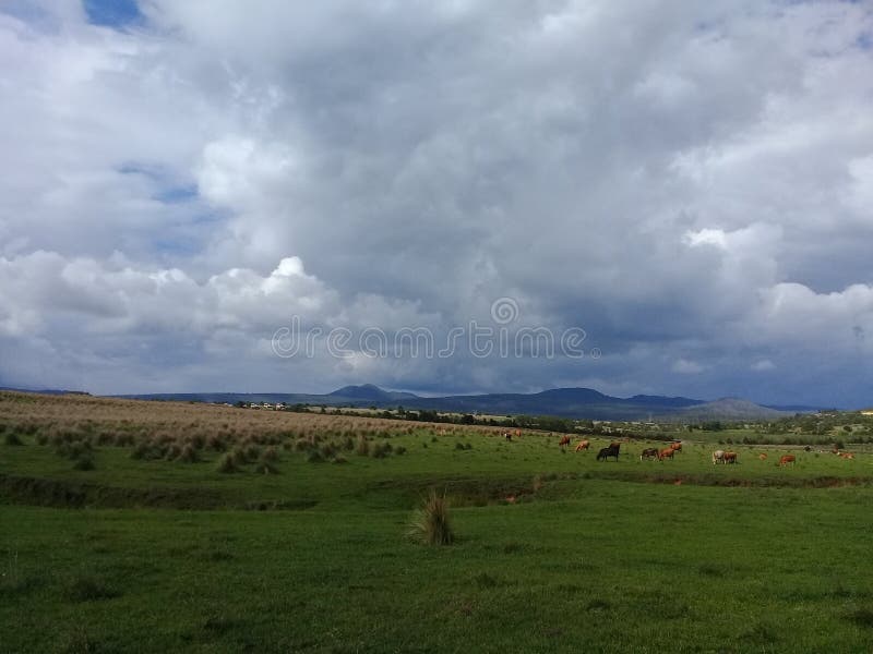 Valley stock image. Image of grass, mexico, clouds, valley - 122462461