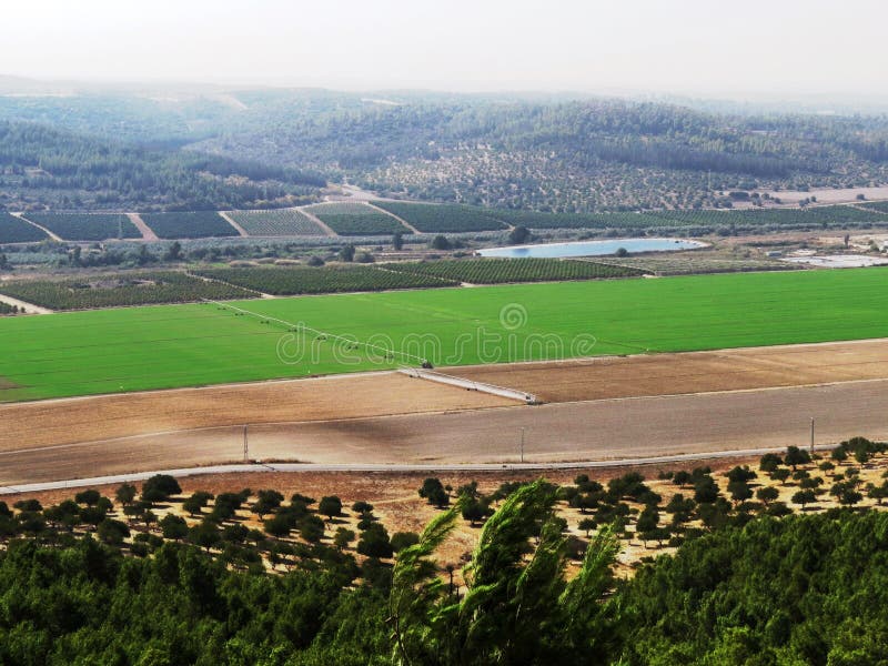 Valley View -Sorek Valley in Israel Stock Photo - Image of valley, wadi ...