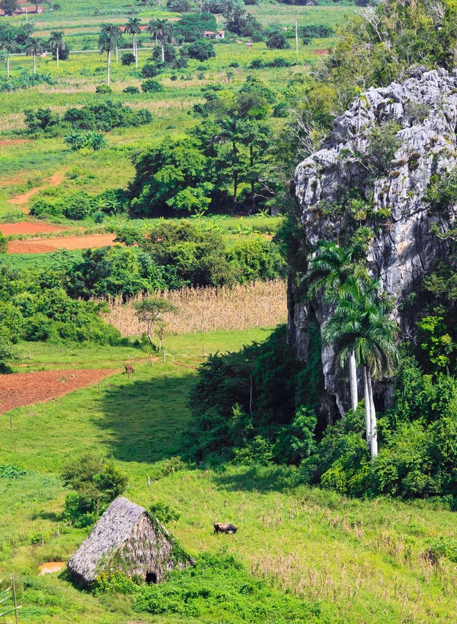 The Valley of Vinales in Cuba Stock Image - Image of blue, horizontal ...