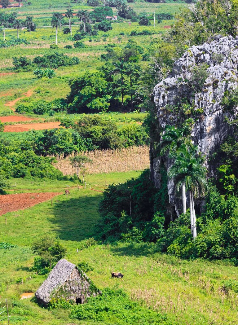 Vinales Valley Cuba Major Tobacco Growing Area Stock Photos - Free ...