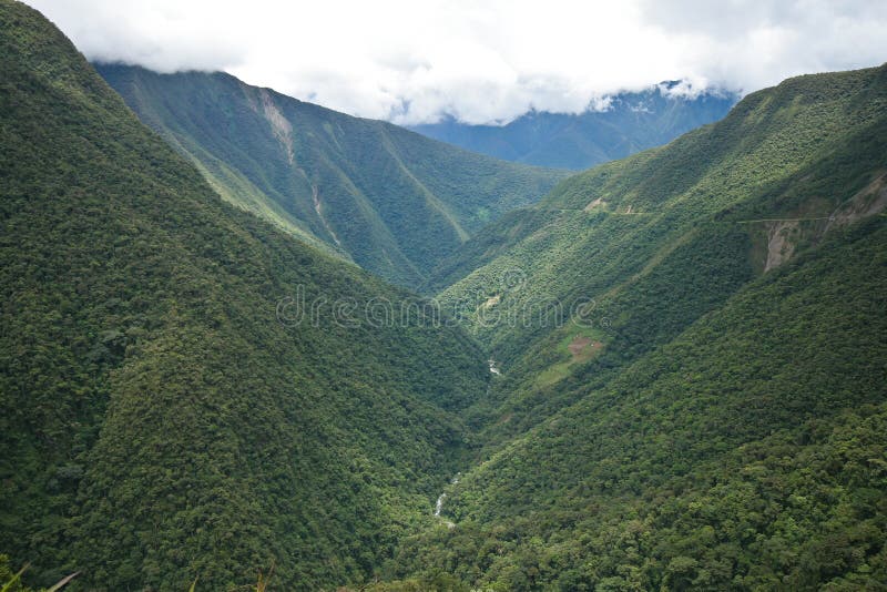 Valley in Yungas Region, Bolivia Stock Photo - Image of tropical ...