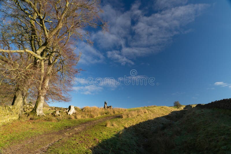 Vallum Roman Earthwork Hadrian's Wall Path Stock Photos - Free ...