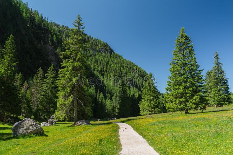 Vallunga Valley in Selva, Dolomites, Italy Stock Image - Image of italy ...