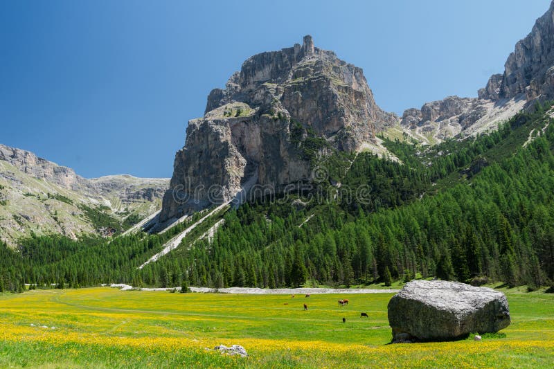 Vallunga Valley in Selva, Dolomites, Italy Stock Photo - Image of ...