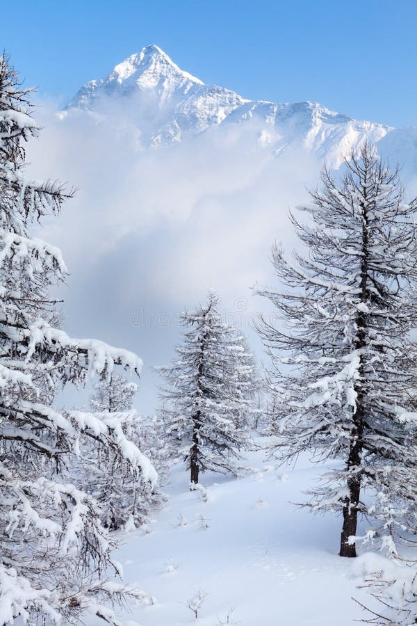 Snowfall in a clear sky stock image. Image of holiday - 164821329