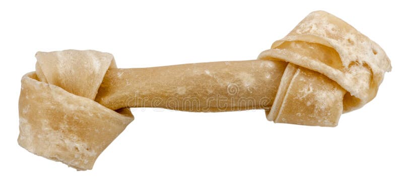 Vals been voor honden stock foto. Image of vervalsing - 38566514