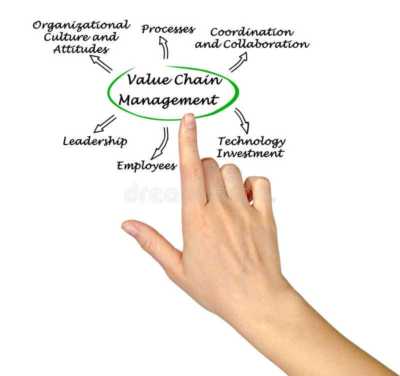 Value Chain Management stock photo. Image of manager - 127562510
