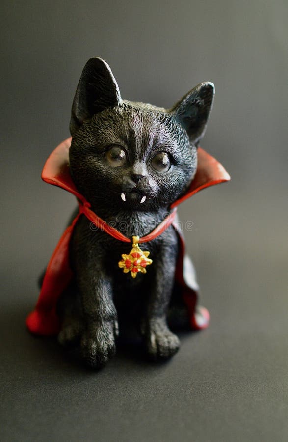 A Vampire Black Cat with a Cape Stock Photo - Image of vampire ...