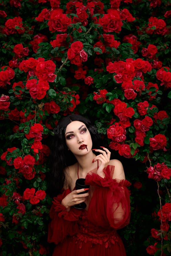 Sexy Vampire Roses Stock Photos - Free & Royalty-Free Stock Photos from ...