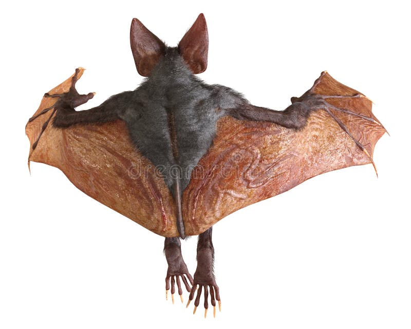 Vampire Isolated in White Background 3d Illustration Stock Illustration ...