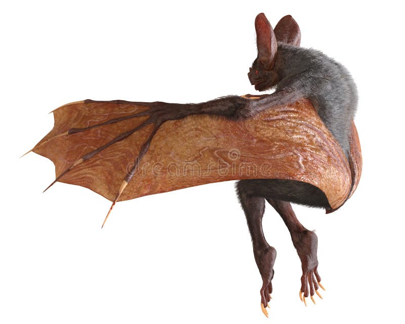 Vampire Isolated in White Background 3d Illustration Stock Illustration ...