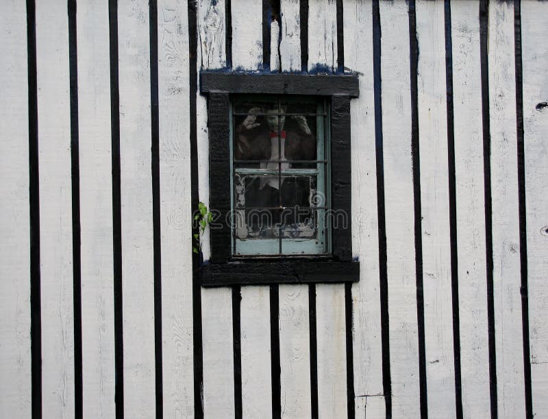 137 Scary Man Looking Window Stock Photos - Free & Royalty-Free Stock ...