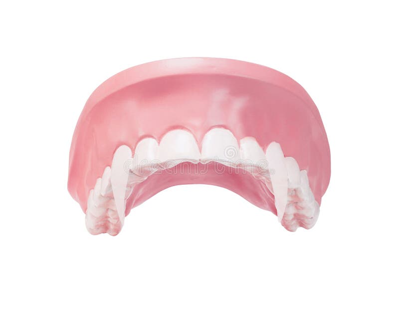 Vampire teeth stock image. Image of artificial, white - 67314543