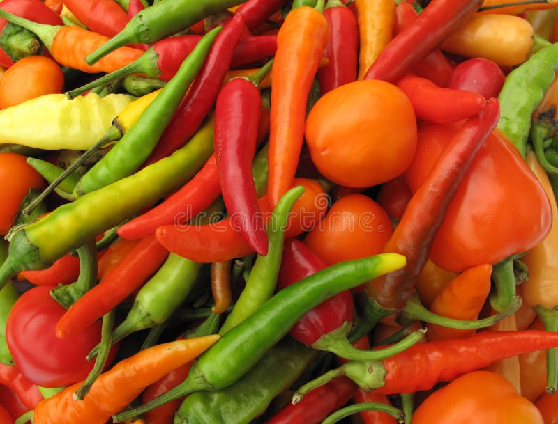 Van De De Peperpaprika Van De Spaanse Peper Het Volledige Frame Stock ...