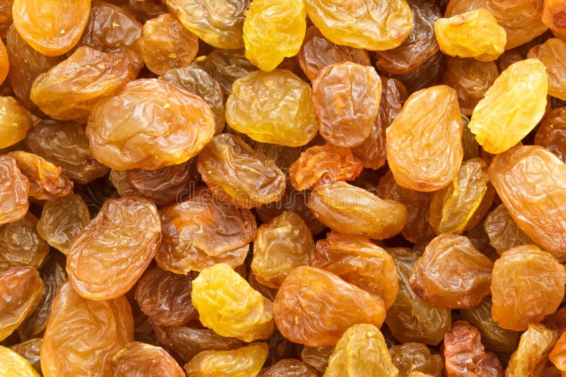 Rozijnen stock afbeelding. Image of druiven, vrucht, hoop - 23006371