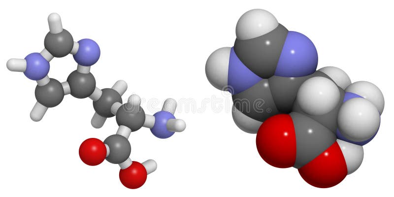 Van Het Histidine (van Hem, H) De Molecule Stock Illustratie ...