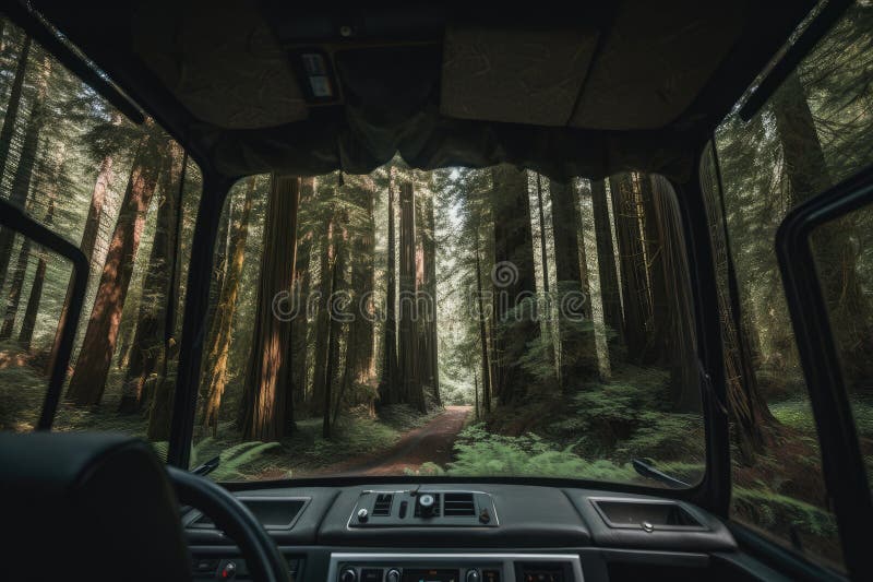 Van Ride through a Serene Forest with Towering Trees Stock Illustration ...