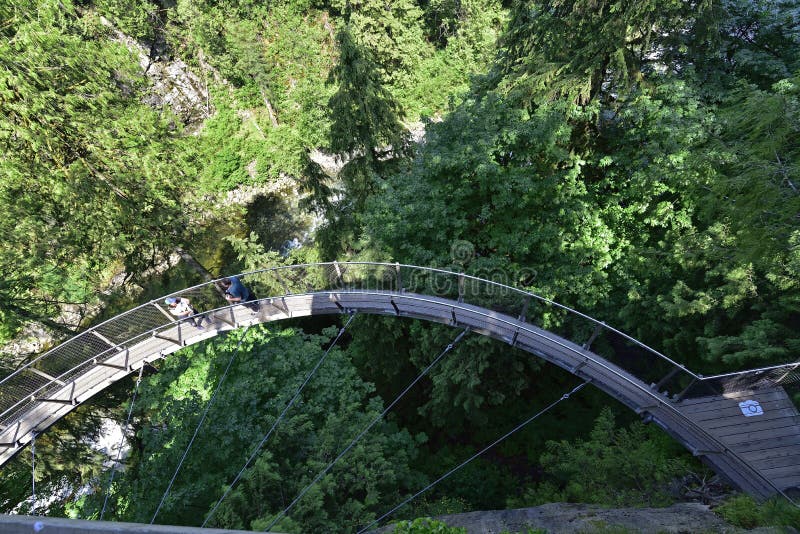 Visitors Exploring the Capilano Cliff Walk through Rainforest. the ... Visitors Exploring the Capilano Cliff Walk through Rainforest. the ...