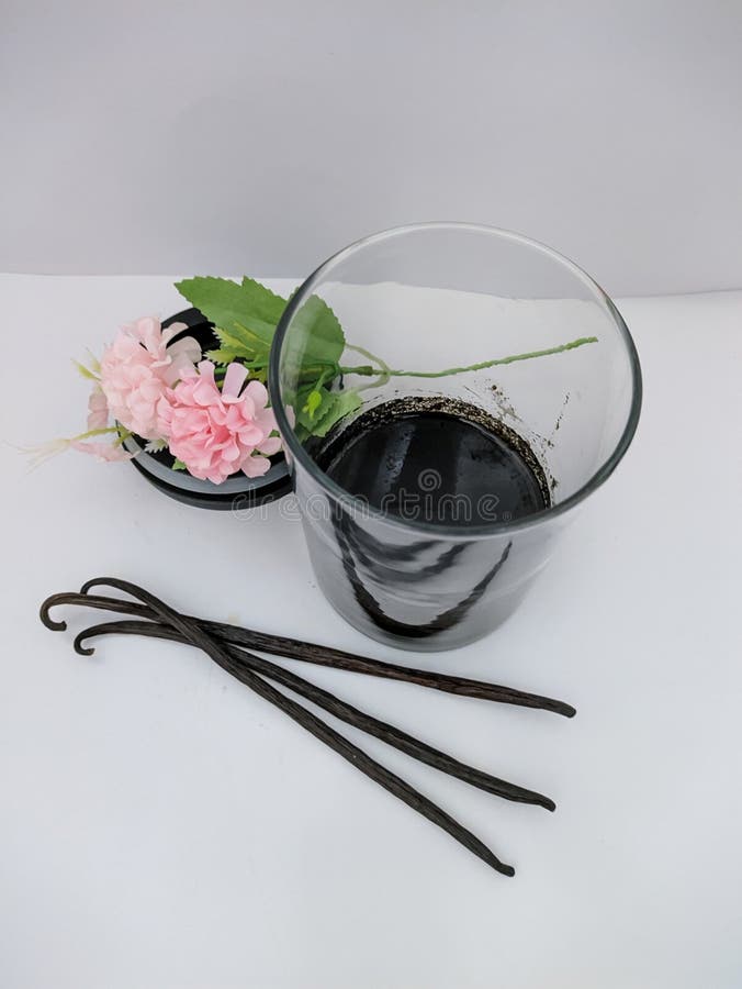 Vanili planifolia stock photo. Image of fragrance, karamel - 323878860