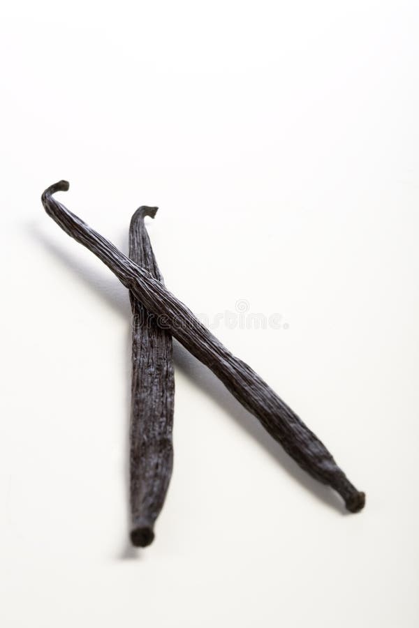 Vanilla stock image. Image of white, ingredient, open - 16347465