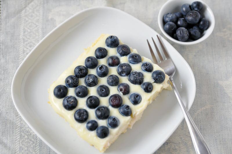 Vanilla Blueberry Cake stock photo. Image of berry, bake - 30755604