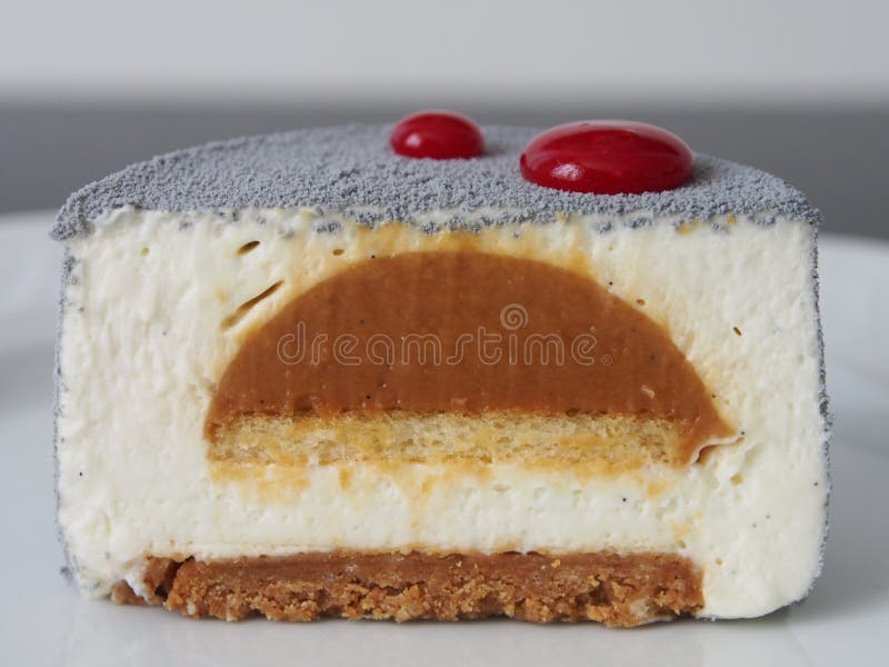 Vanilla and Caramel Pudding Stock Photo - Image of cotta, closeup: 31416268