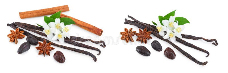 Vanilla and Cinnamon Sticks with Cocoa Bean and Star Anise Isolated on ...