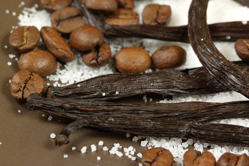 Vanilla and coffee beans stock photo. Image of gourmet - 13261286