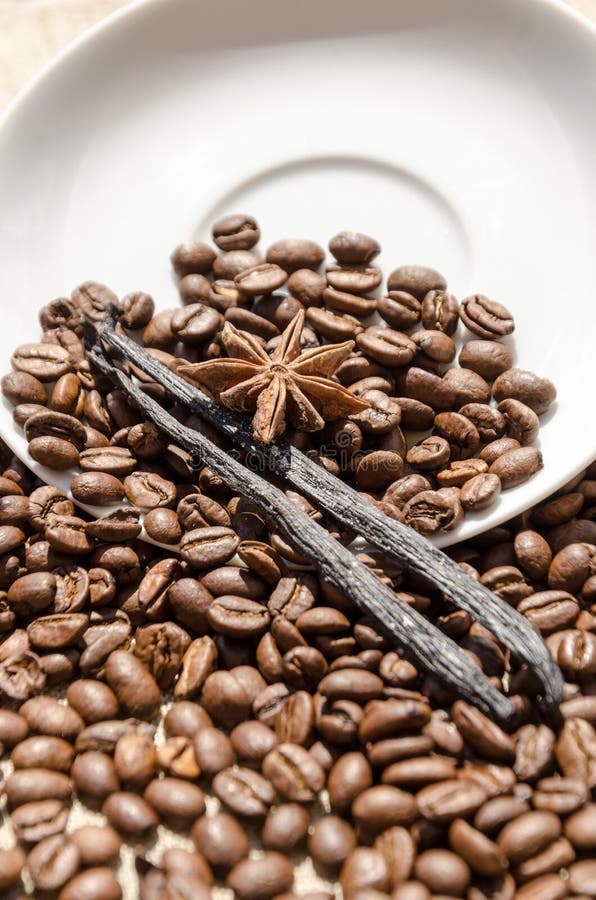 Vanilla with Coffee Grains, Cinnamon and Aniseed Stock Photo - Image of ...
