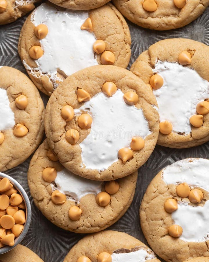 Vanilla Cookies and Cheese Chips Stock Photo - Image of butter, tasty ...
