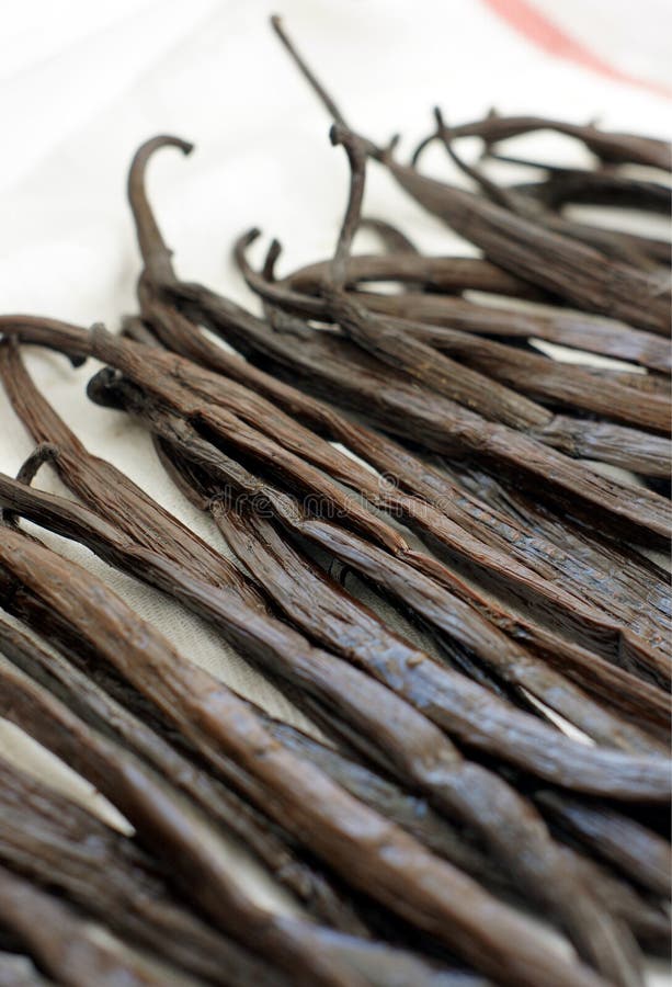 Vanilla drying stock photo. Image of cane, flavouring - 11991836