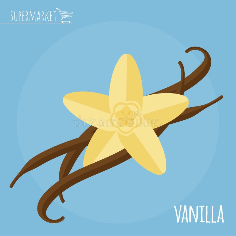Vanilla Flat Design Vector Icon Stock Vector - Illustration of herb ...