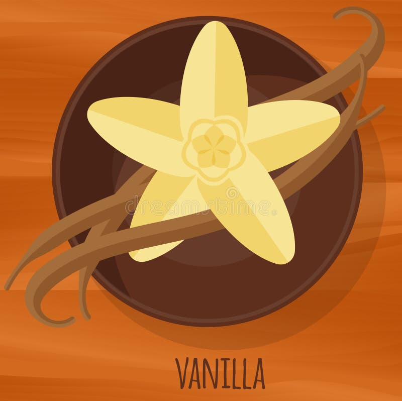 Vanilla Flat Design Vector Icon. Stock Vector - Illustration of bloom ...