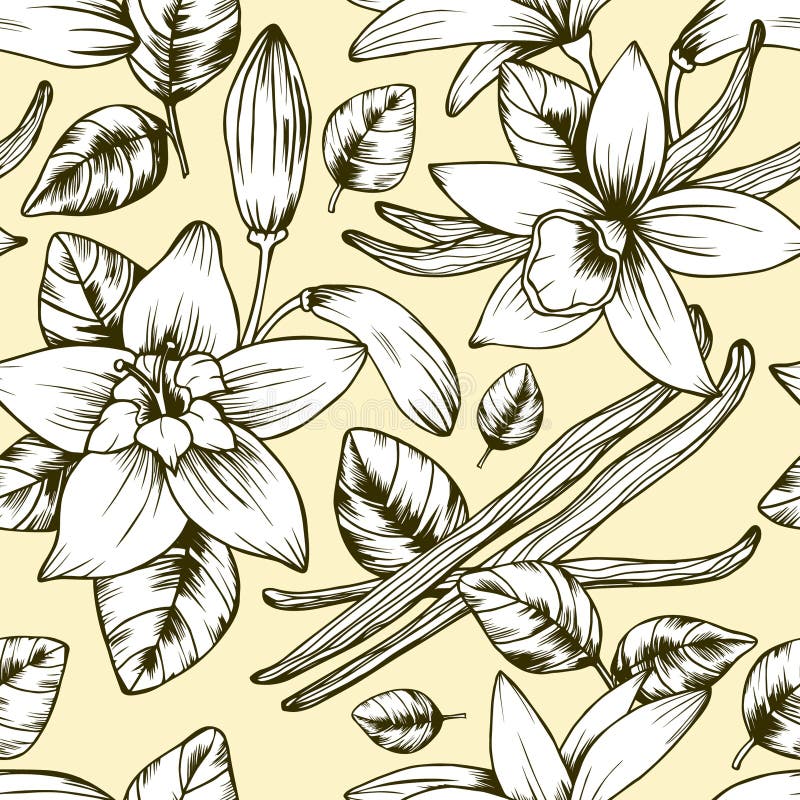 Seamless Elegant Vector Vintage Vanilla Pattern Stock Vector ...