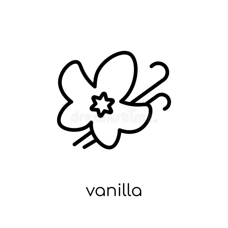 Vanilla Icon in Cartoon Style Isolated on White Background. Herb an ...