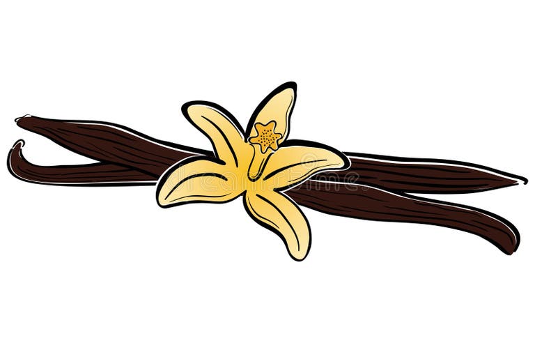 Vanilla Drawing Stock Illustrations – 21,423 Vanilla Drawing Stock ...