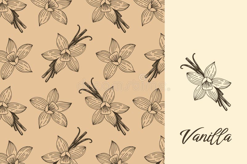 Vanilla Label for Aromatic Spices, Pattern with Flowers and Vanilla ...