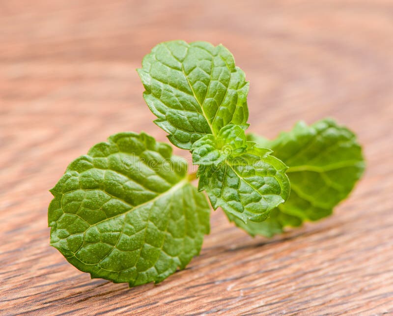 Vanilla Mint Isolated on a Wooden Table ,top View Stock Image - Image ...