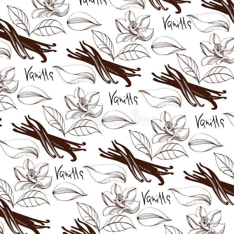 Vanilla pattern stock vector. Illustration of grid, stick - 45886741