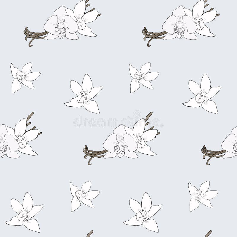 Vanilla pattern stock vector. Illustration of grid, stick - 45886741