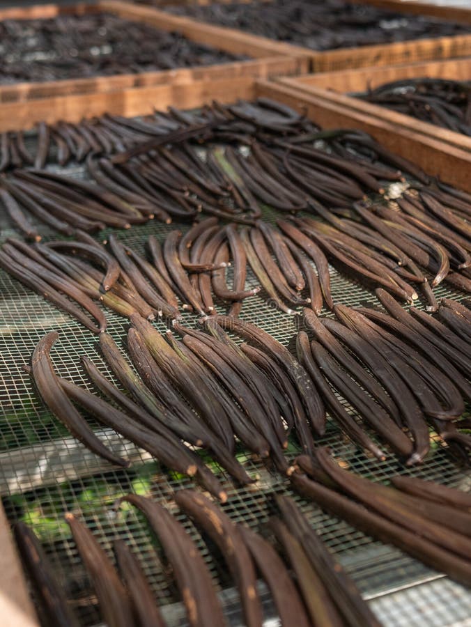 932 Curing Process Stock Photos - Free & Royalty-Free Stock Photos from ...