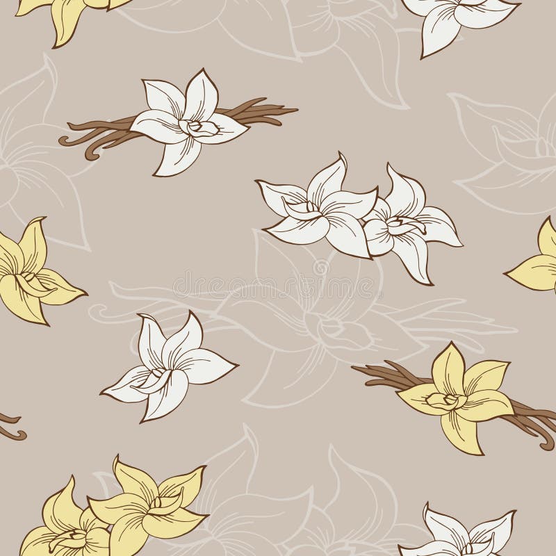 Vanilla Flower Seamless Pattern Stock Illustrations – 1,293 Vanilla ...