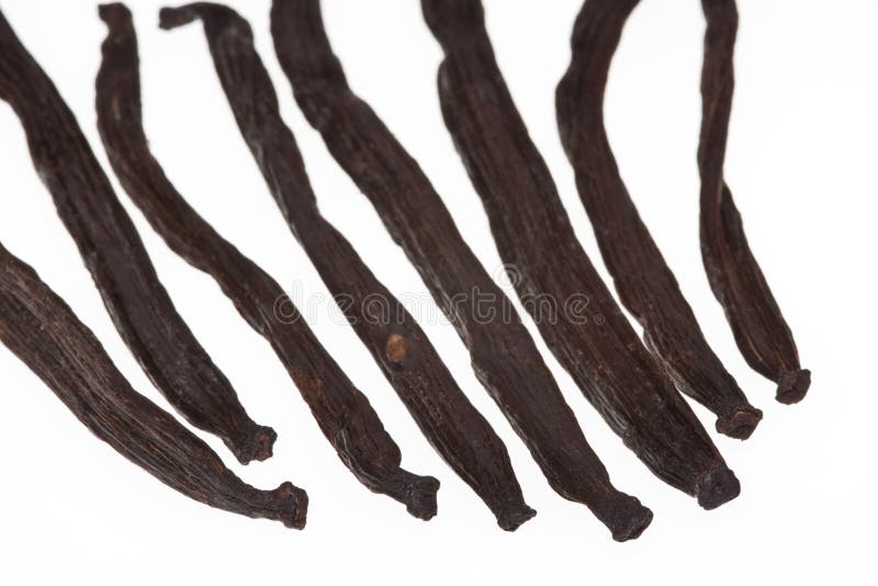 Vanilla pods stock photo. Image of mass, season, flavouring - 13453070