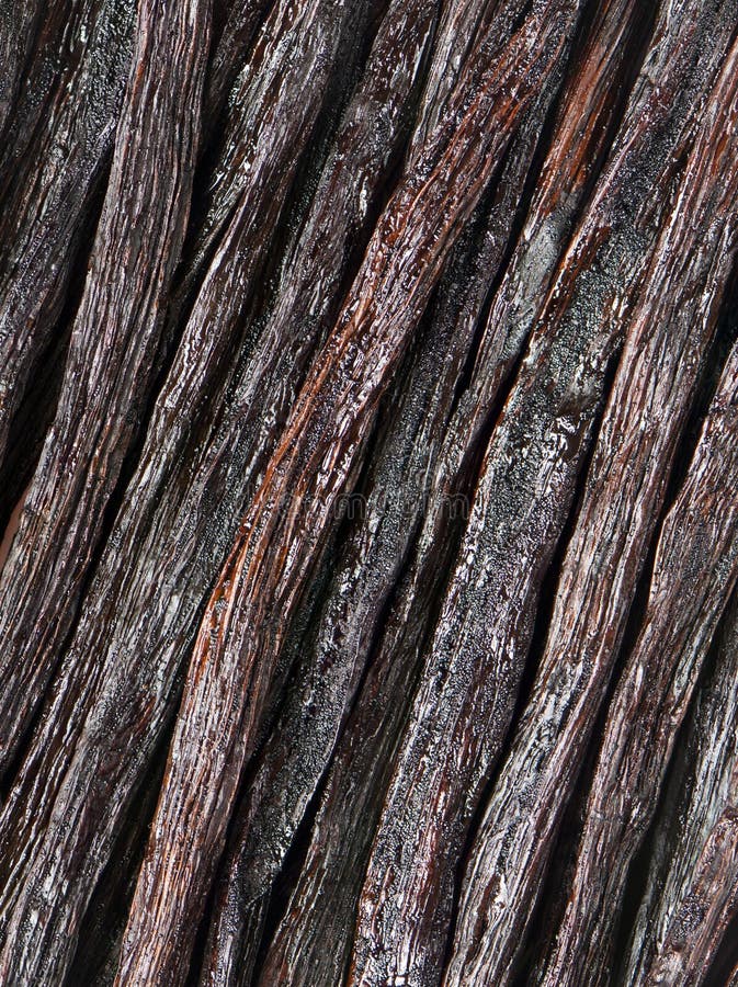 Vanilla pods stock photo. Image of cooking, black, taste - 49519708