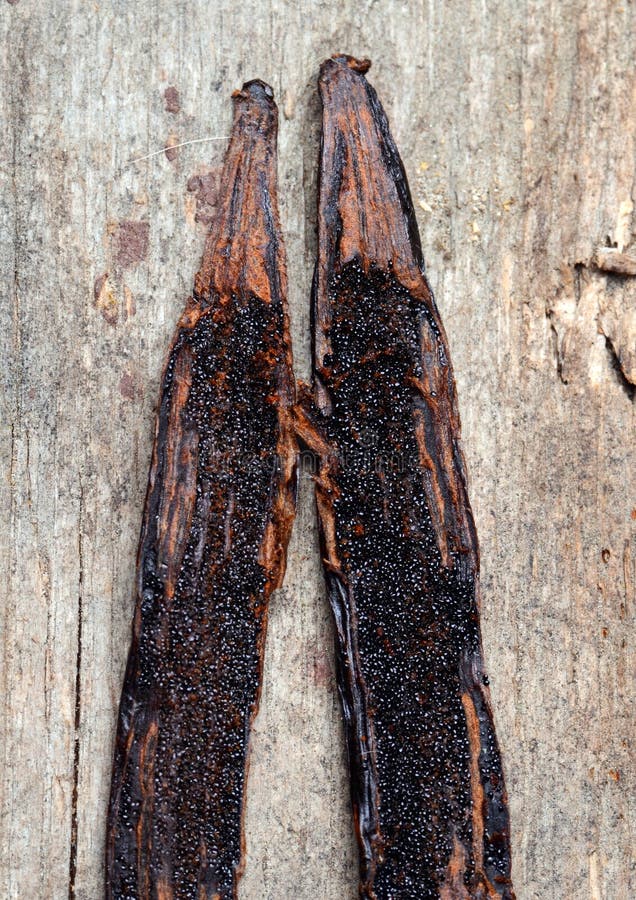 Vanilla pods stock photo. Image of cooking, black, taste - 49519708
