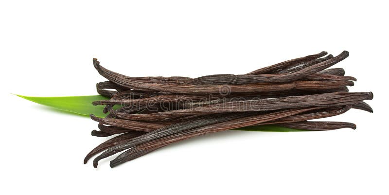 Vanilla Pod stock image. Image of isolated, sweet, bundle - 30157397